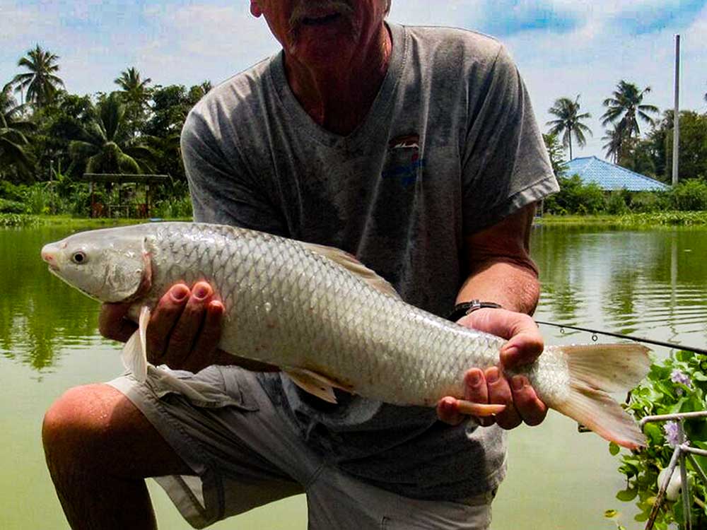 Species | Chalong Fishing Park Rawai
